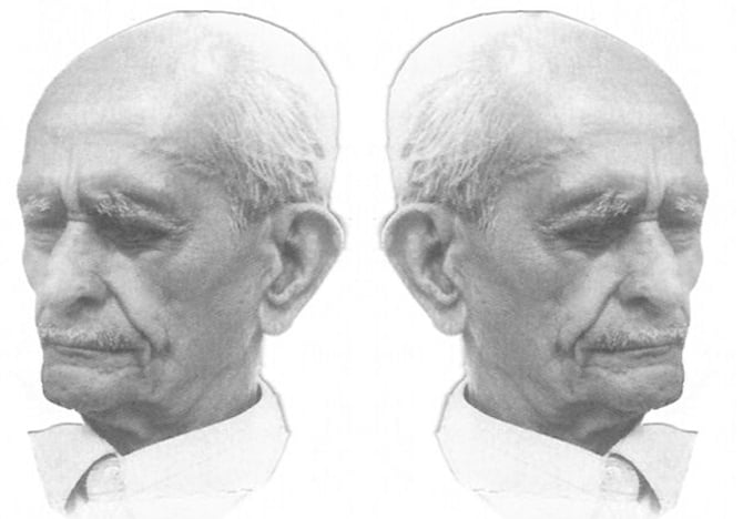 De volta para o passado – Fernando Machado